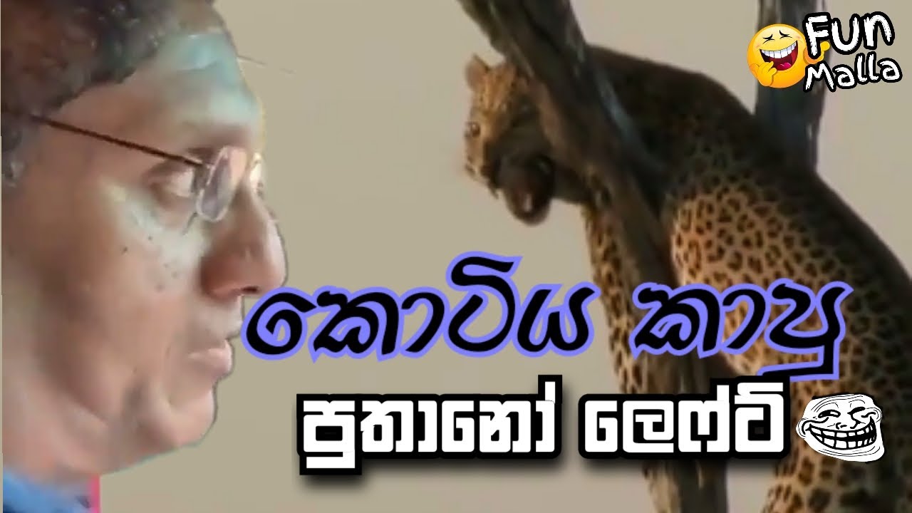 Puthano Left 😂 | Sajith Premadasa Funny Meme Sri Lanka | Funny meme ...