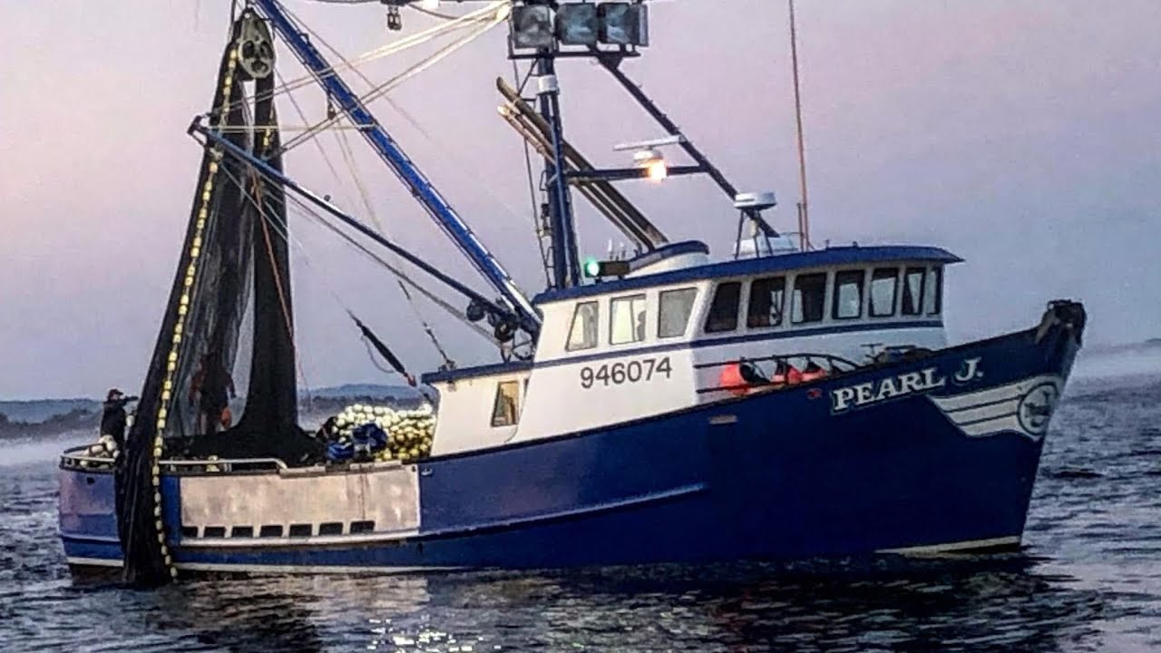 Commercial squid fishing - YouTube