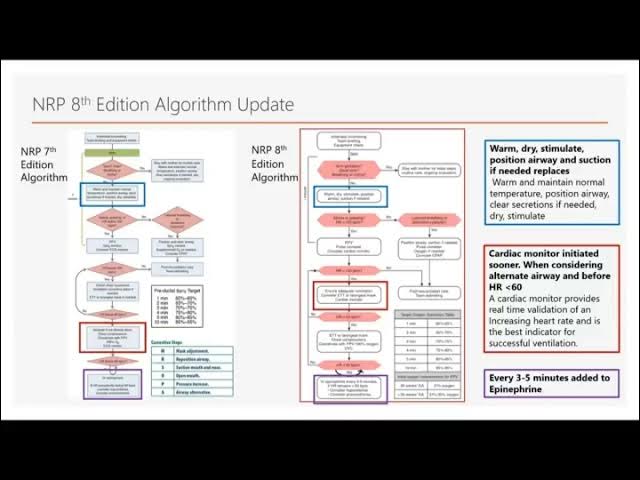 Printable Nrp Algorithm 7th Edition NRP Flow Diagram / Algorithm