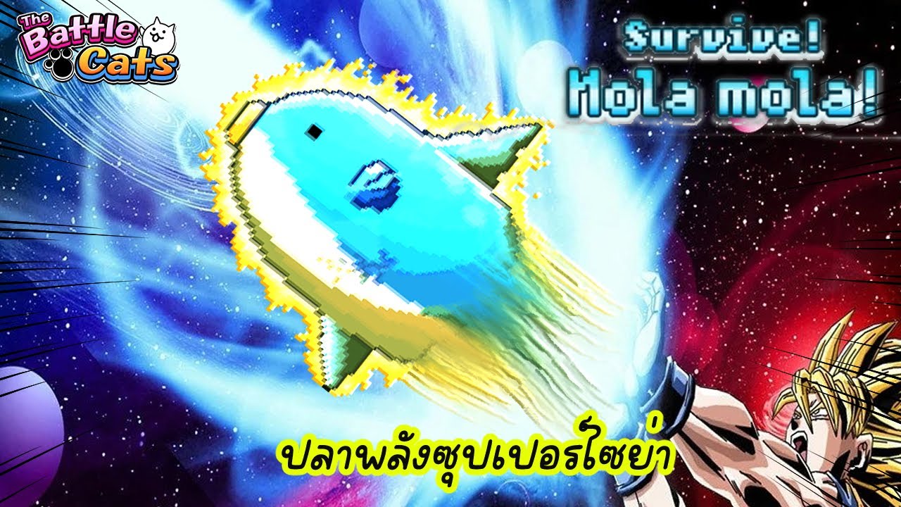 The battle cats กิจกรรมคอแลปร่วมกัน ระหว่างแมวกับปลา Survive Mola Mola ...