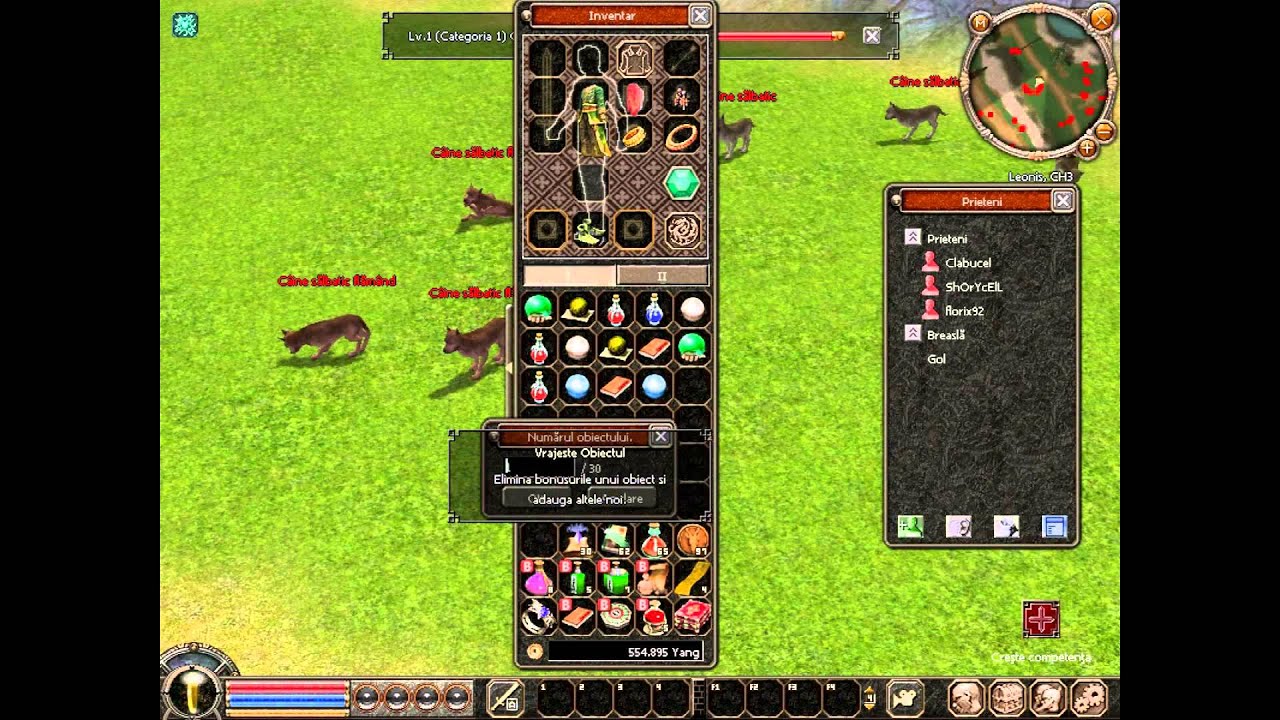 Metin2.ro Bonusare Sabie de Batalie #2 - YouTube