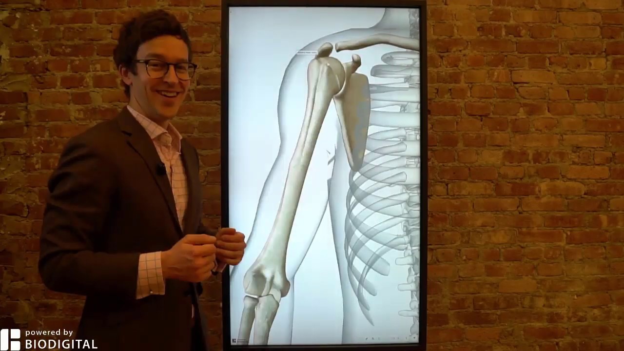 What is Shoulder Dislocation? - Dr. Tom Talks - YouTube