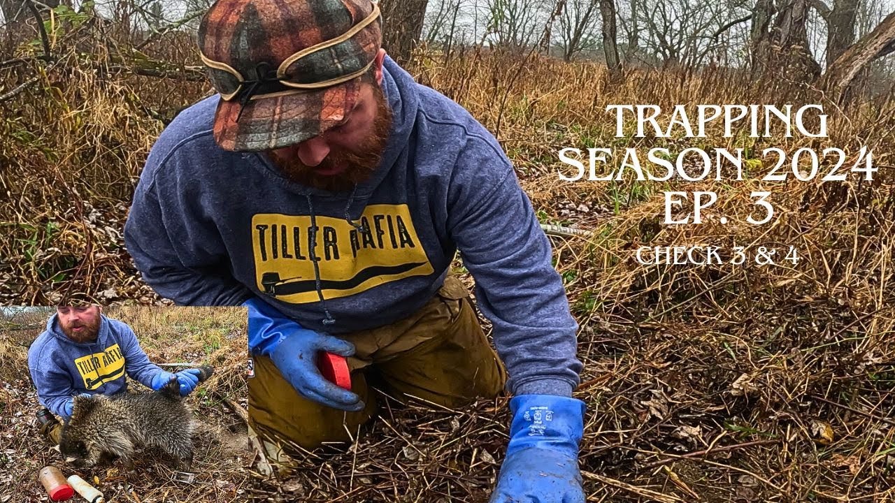 Trapping Season 2024 | EP. 3 #trapper #wildlife #raccoontrapping - YouTube