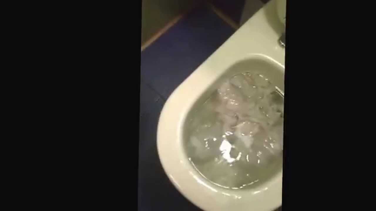 Cesso intasato - YouTube