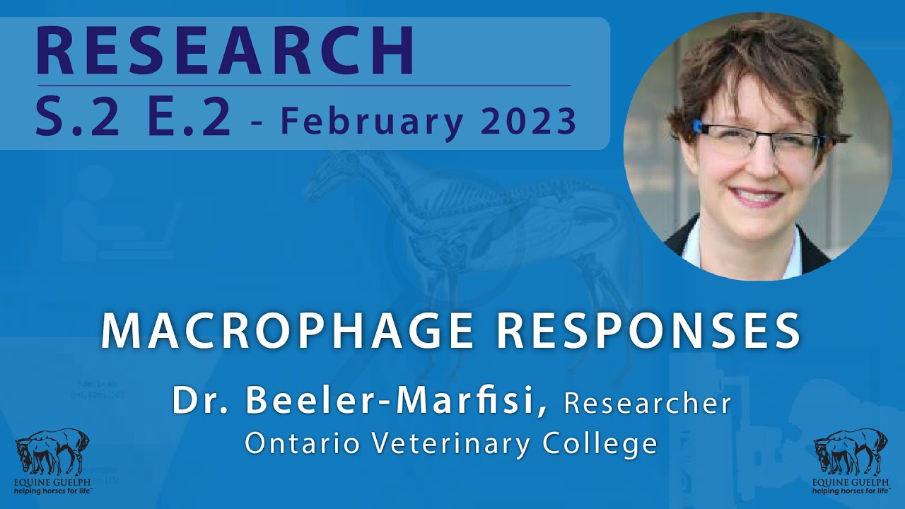 RESEARCH S.2 E.2 - Macrophage responses - Dr. Beeler-Marfisi - February ...