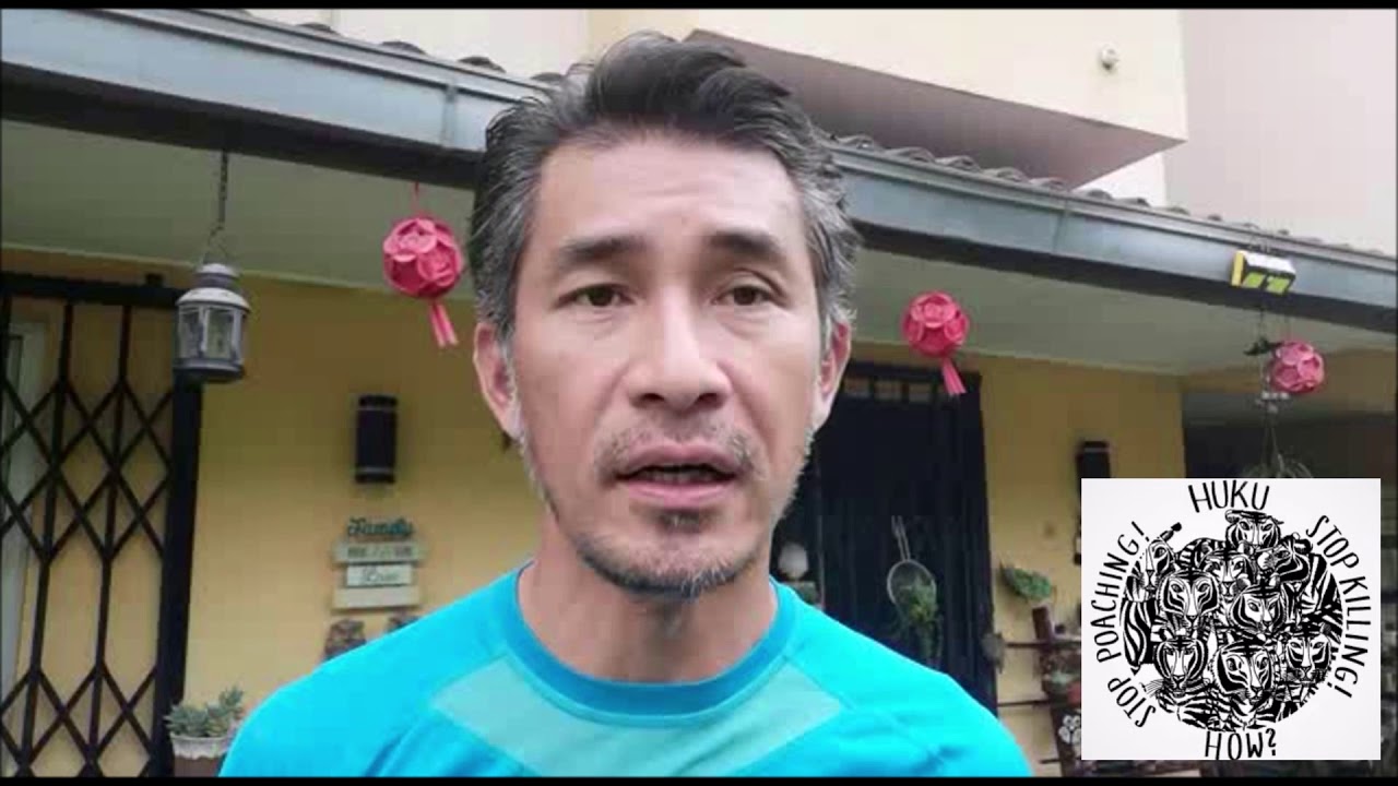 Malaysian Celebrity Actor Steve Yap supporting HUKU Tigers Awareness ...