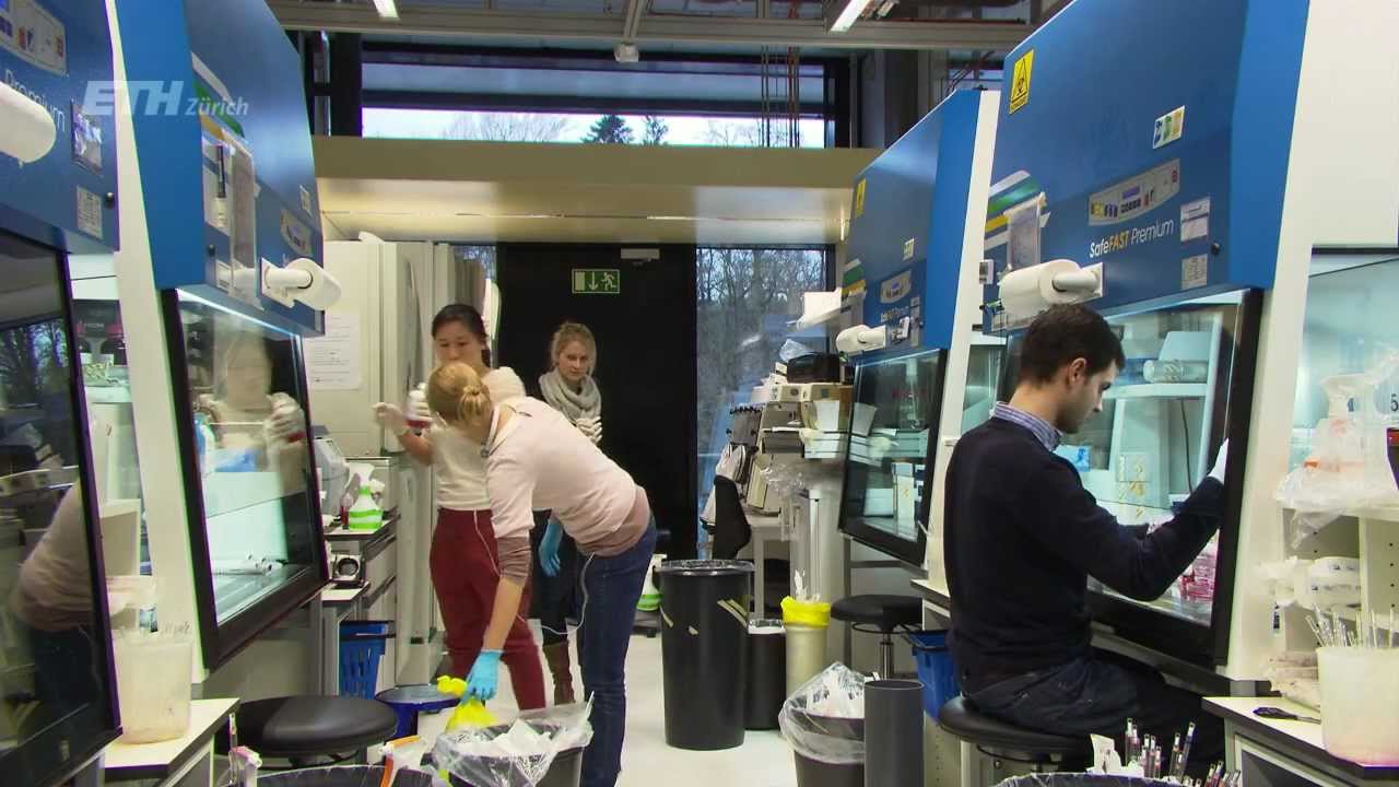 Molecular Health Sciences Platform - YouTube