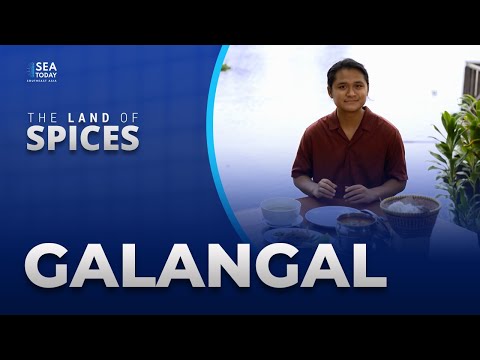 Land Of Spices: Galangal
