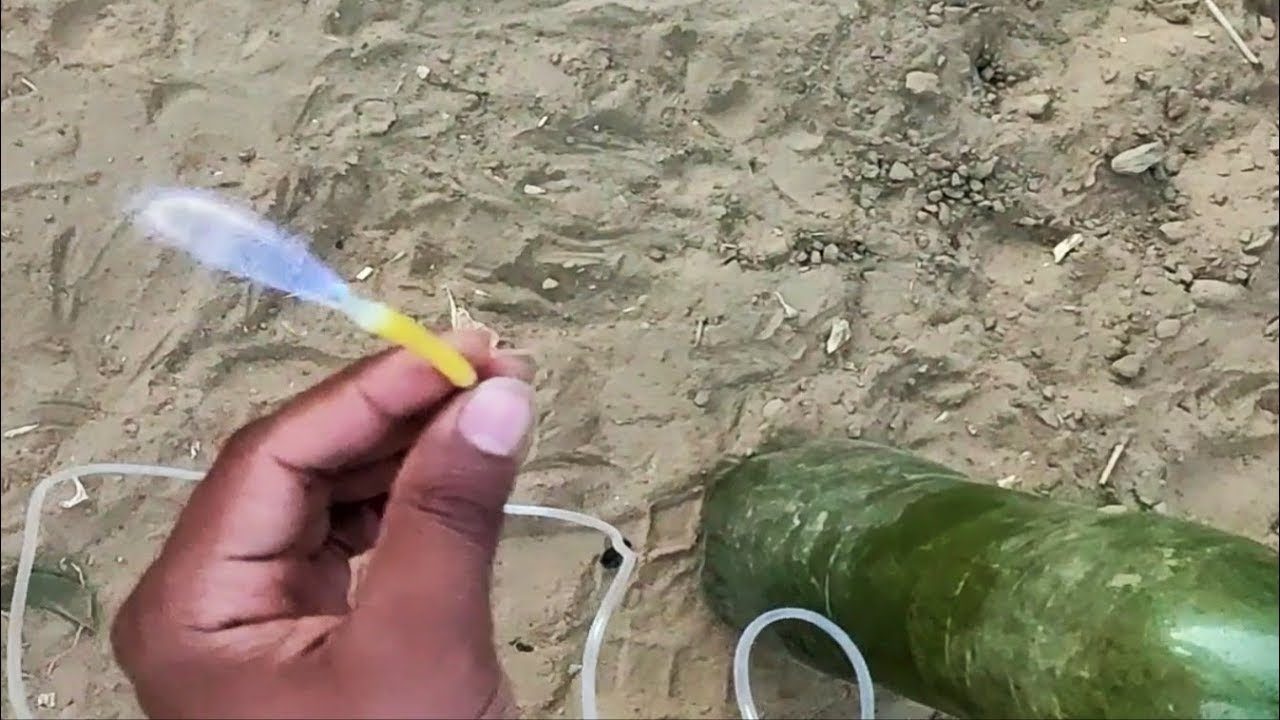 Ghar par biogas kese banaye// science experiment videos - YouTube