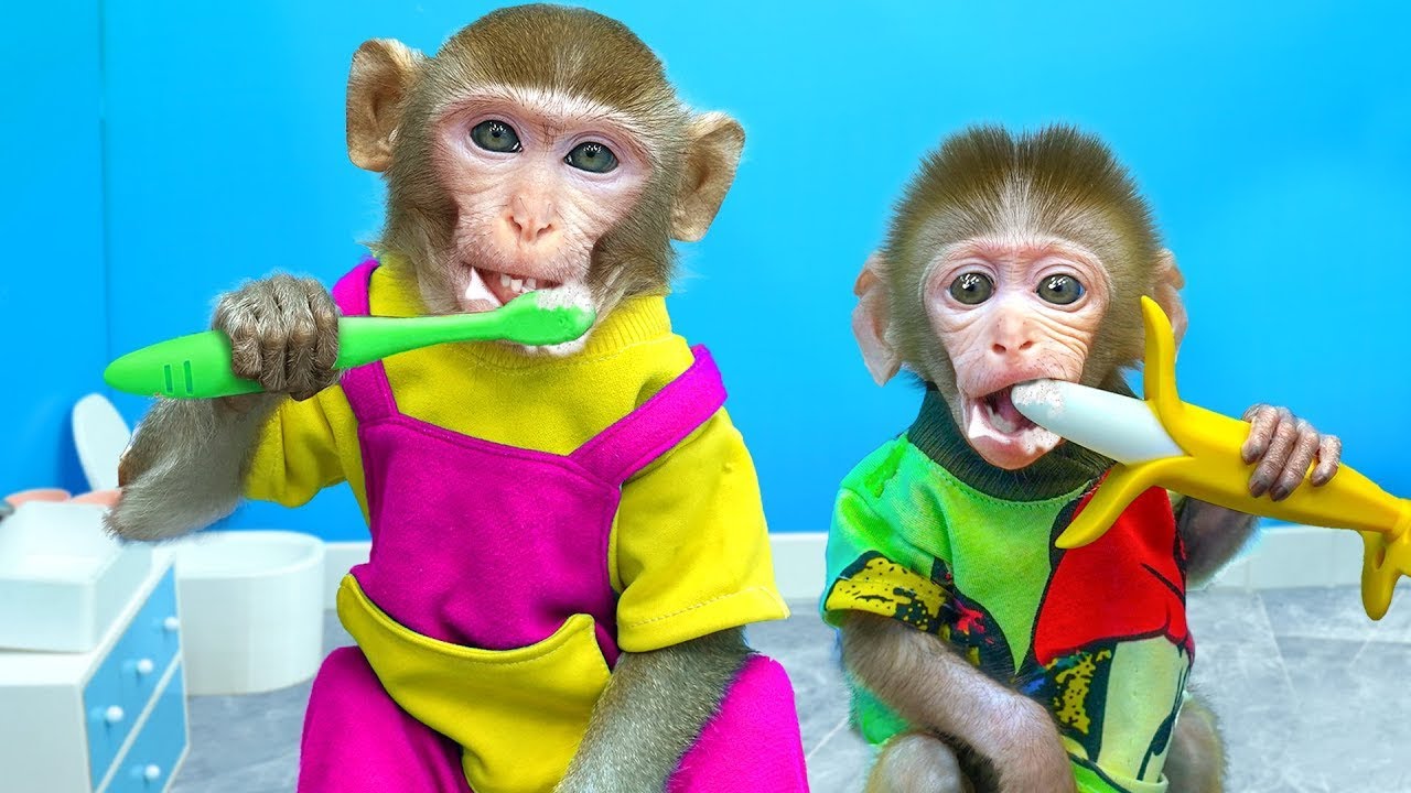 KiKi Monkey|| helps mom teach naughty baby how to brush teeth | KUDO ...