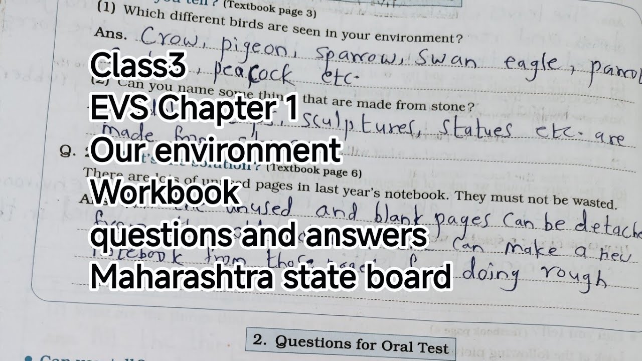 Class 3 EVS Chapter 1 Our Environment Workbook Answers | Easy Explanation | - YouTube