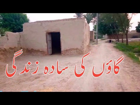 Simple village life In Punjab Pakistan #rizwan #thaheem #villagevlog #villagelife #punjab # ...