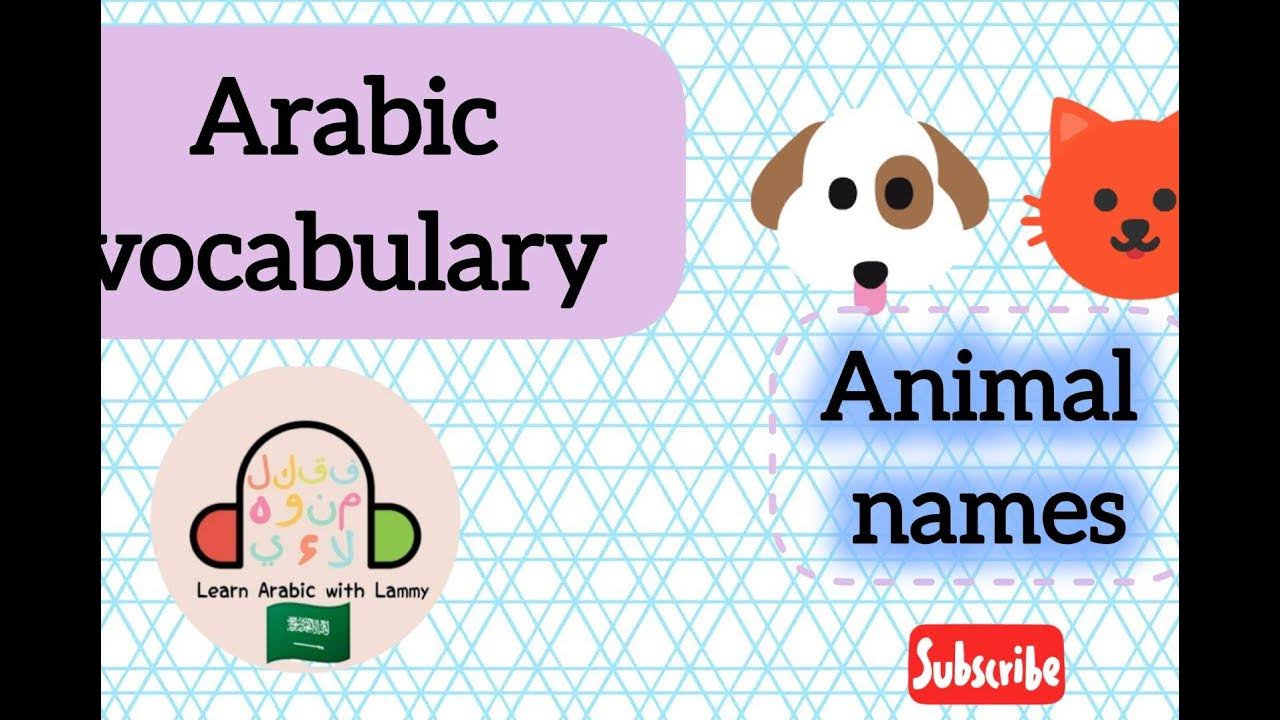 Animal names in arabic language 🇸🇦 with best example for each one - YouTube