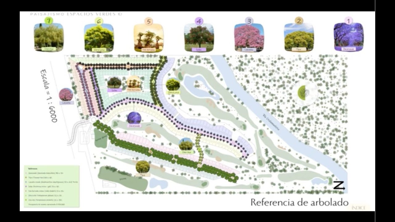 Arbolado de veredas - Montecitos Country & Golf - YouTube