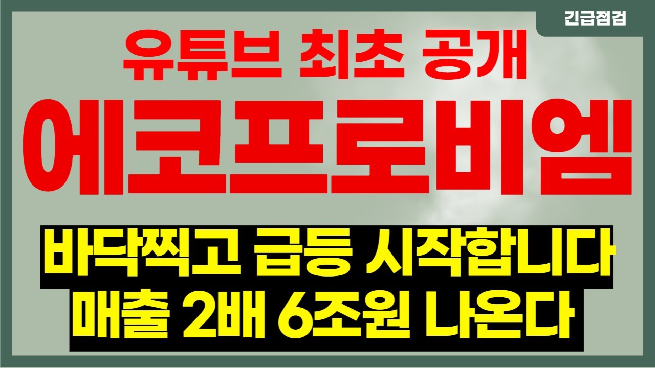 에코프로비엠 바닥찍고 급등 시작합니다 매출 2023년 6조원 달성할 엄청난 기업 20만원까지 주가올라갑니다 에코프로비엠주가 에코프로비엠분석 에코프로비엠목표가