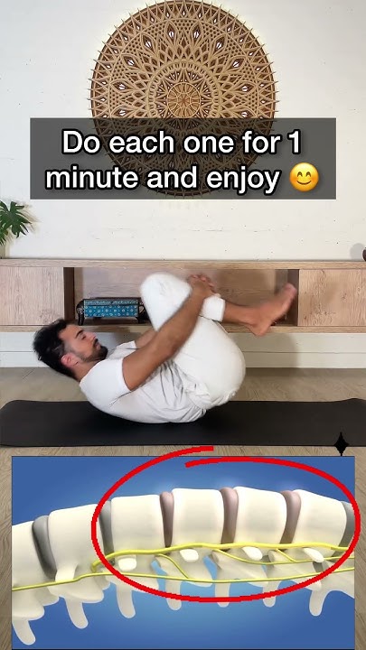 Instant Lower Back Pain Relief Exercises - YouTube