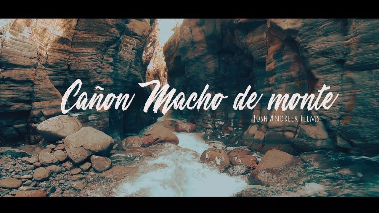 Cañon Macho de monte - YouTube