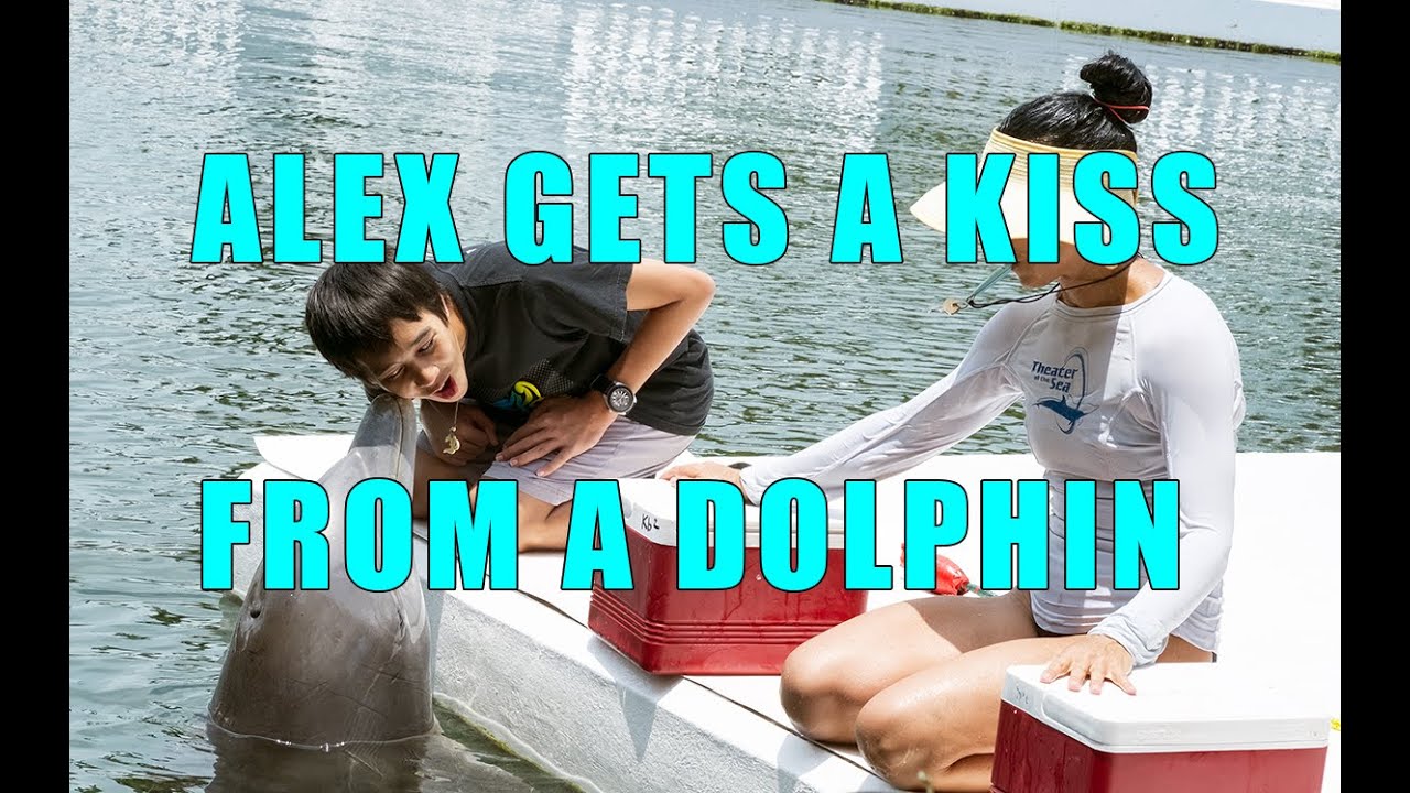 Alex Gets a Kiss...From a Dolphin - YouTube