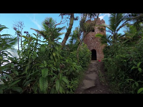 El Yunque National Forest - Mt Britton Trail and Tower (Puerto Rico ...