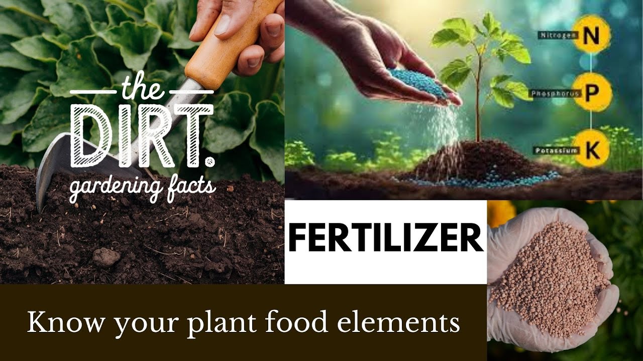 Different Types Of Fertilizers For Plants Types Of Fertilizers To Use