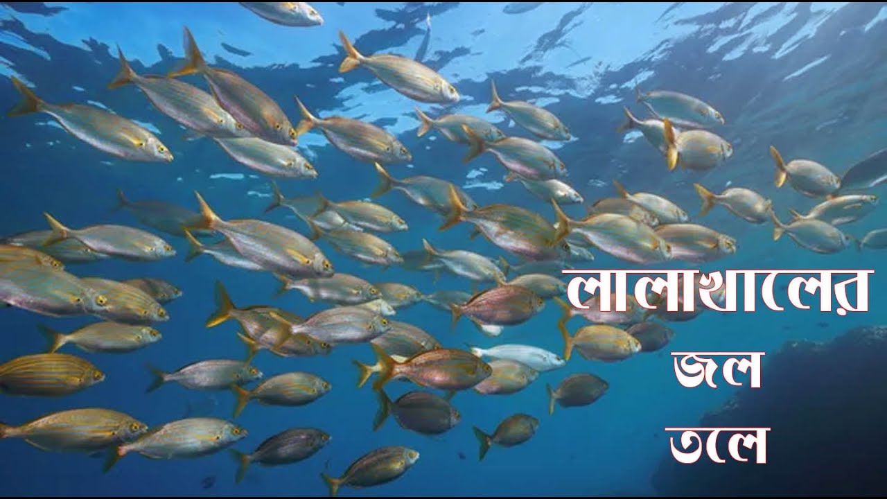 Under water of Lalakhal ।। লাখালের জল তলে। Jointapur Sylhet || - YouTube