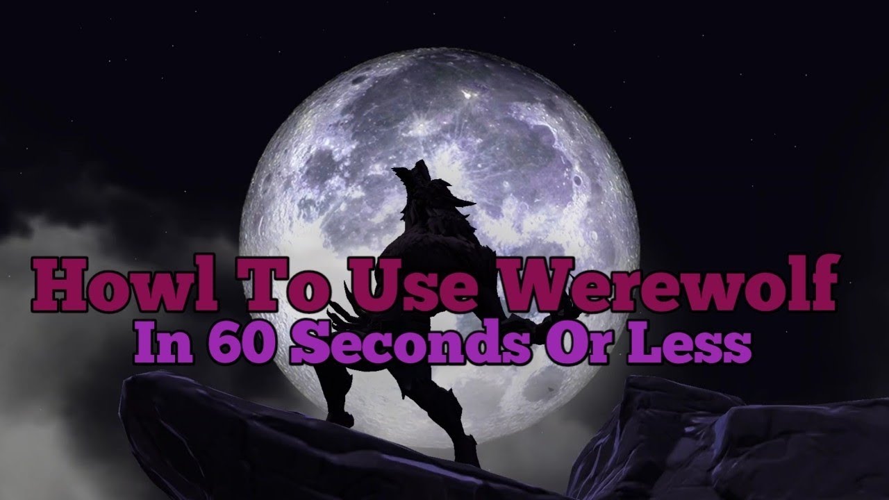 How To Use Werewolf By Night MCoC | Very Fun DOT Damage - YouTube