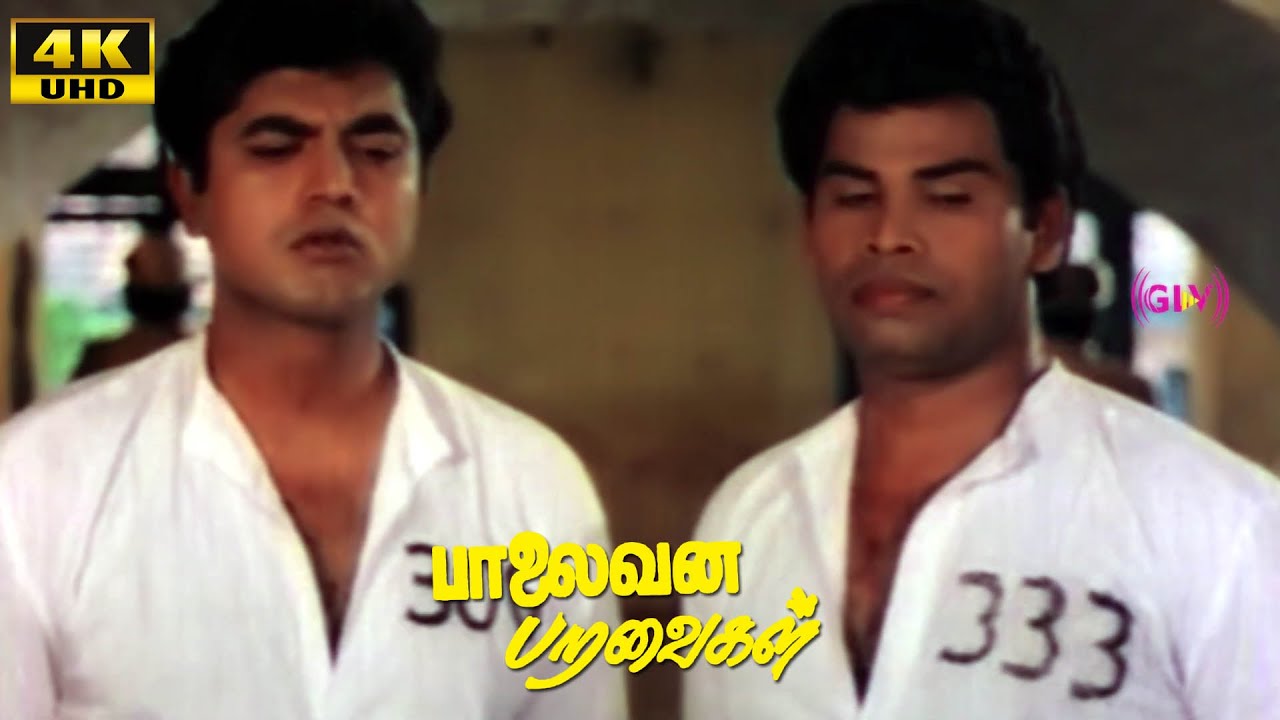 Palaivana Parvaigal Movie Scenes - 2 | Sarathkumar | Anandaraj ...