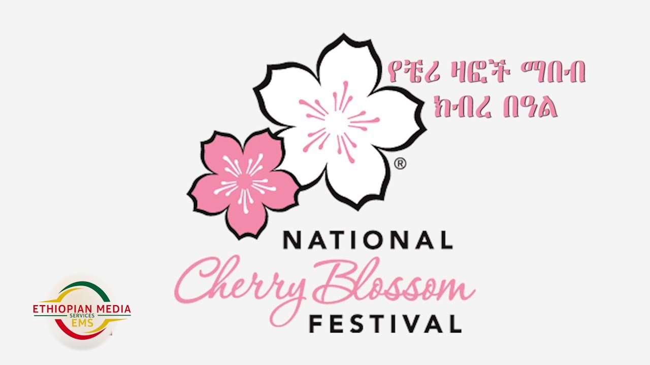 EMS Zegabi National Cherry Blossom Festival Sun 31 Mar 2024. - YouTube