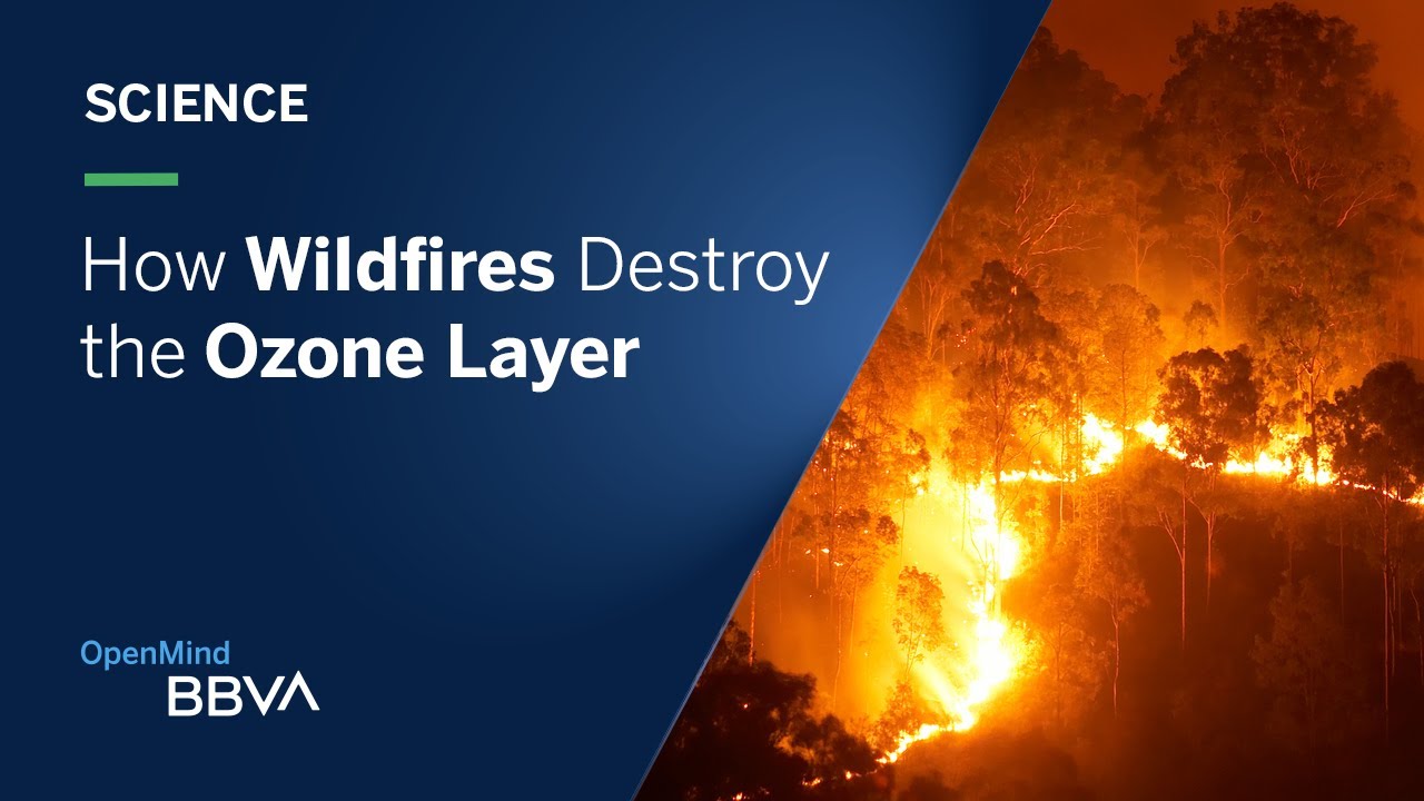 How Wildfires Destroy the Ozone Layer | Science pills - YouTube
