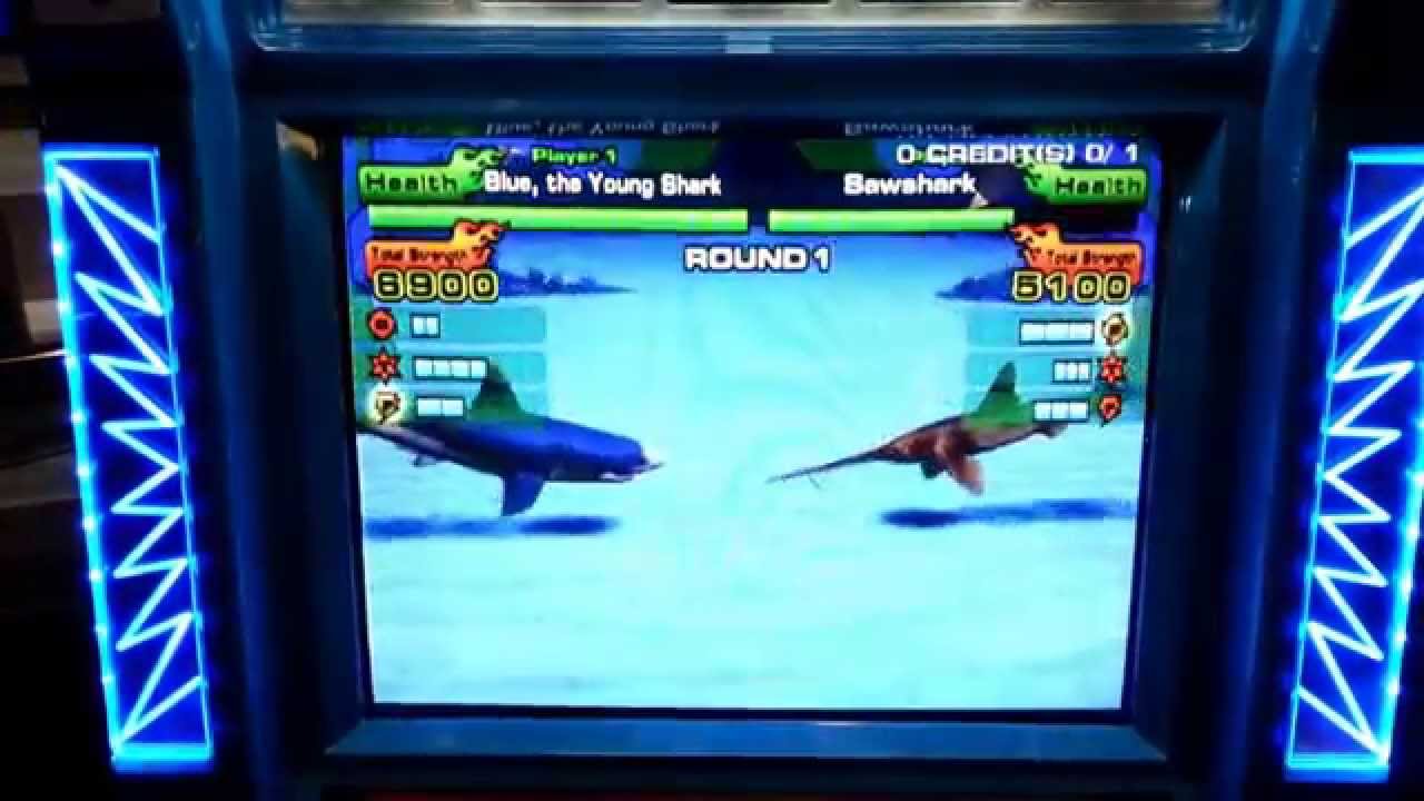 Animal Kaiser : The King of Animals - YouTube