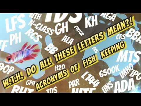 What Do All These Aquarium Hobby Acronyms & Letters Mean?! The ...