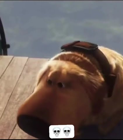 Can I stay?Dug #funny #shortshorts #meme #minishorts#Dug - YouTube