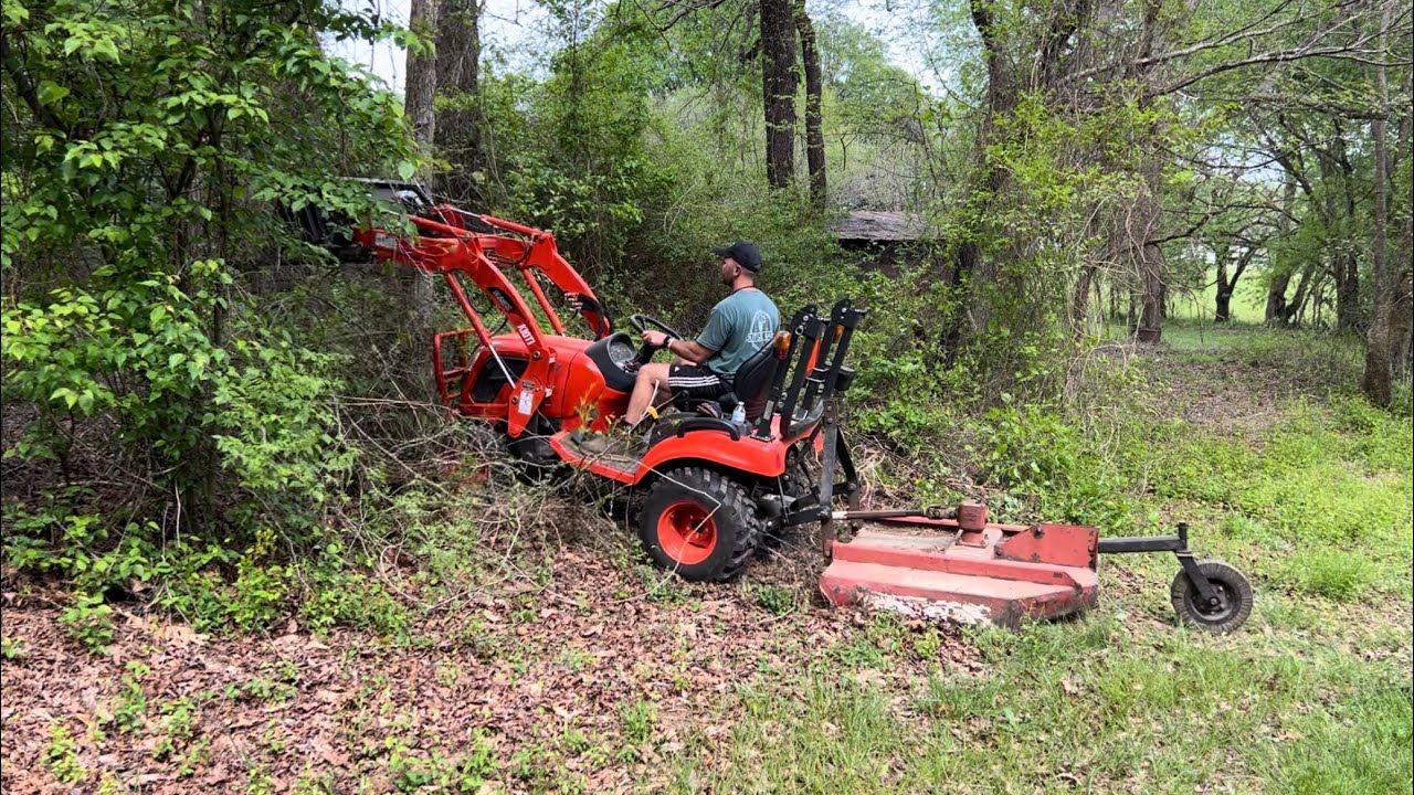 Springtime Bush Hogging | STUNNING Transformation - YouTube