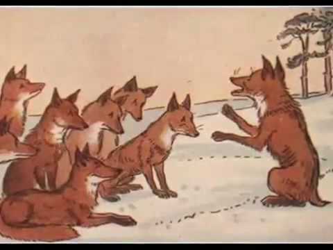 Aesop's Fable for the USA: The Fox who Lost his Tail - YouTube