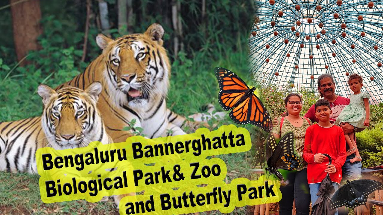 Bengaluru Bannerghatta Biological Park & Zoo and Butterfly Park - YouTube