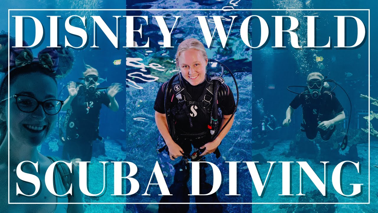 Walt Disney World | Scuba Diving in EPCOT - YouTube