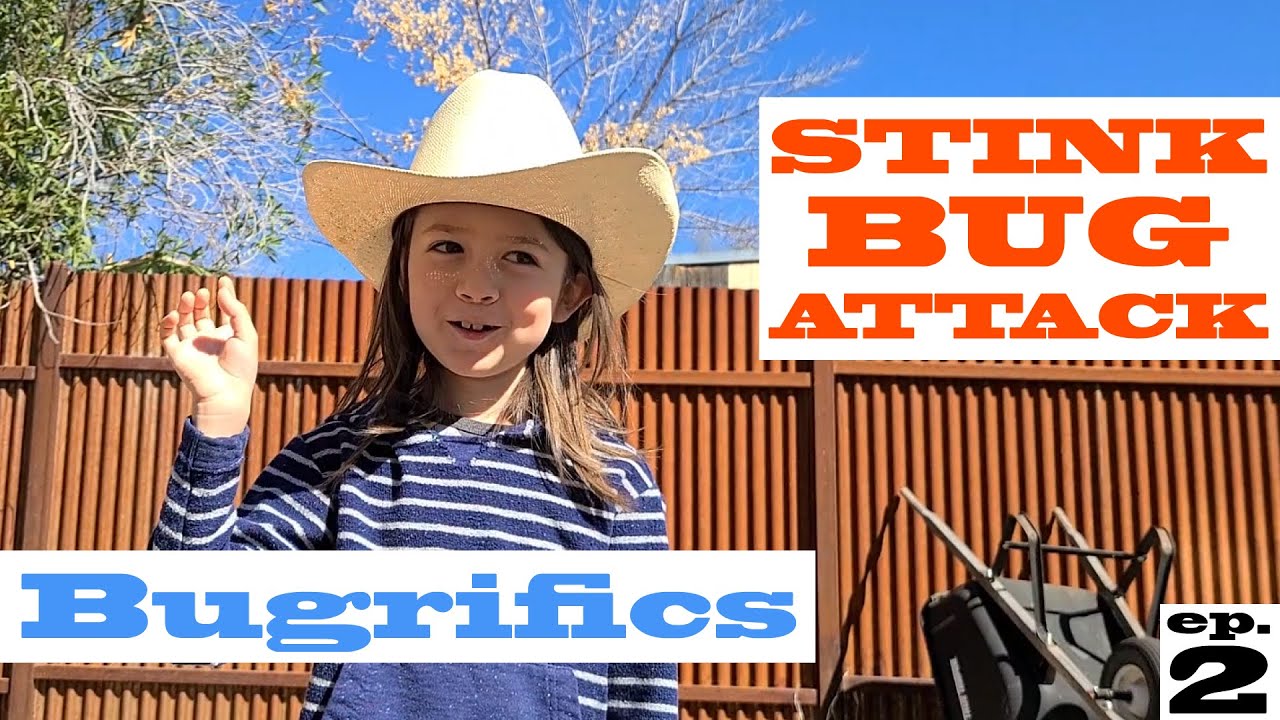 Bugrifics - Stink Bug Attack!!! - YouTube