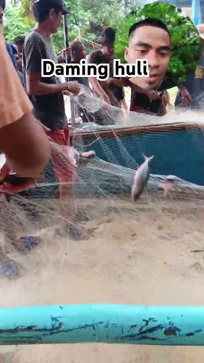 Daming huli - YouTube