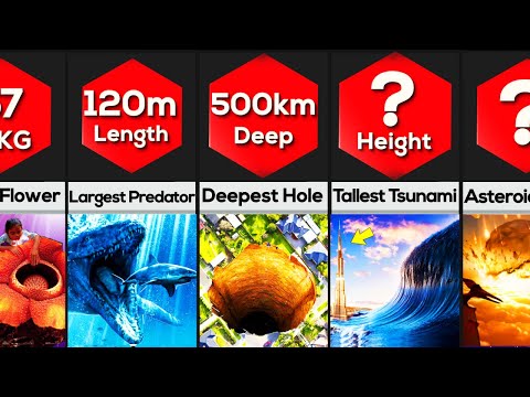 Comparison: Planet Earth World Records - YouTube