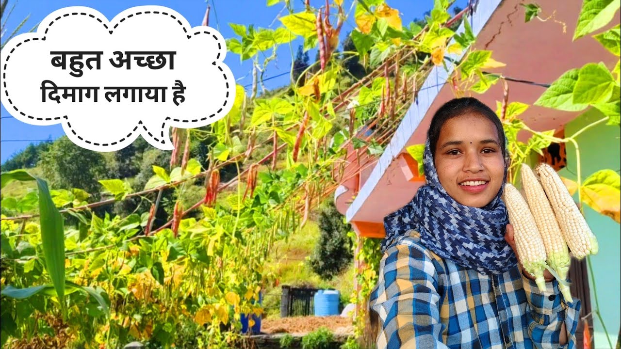 हम लोग भी ऐसा कर सकते हैं ll Pahadi Lifestyle Vlog ll Rashmi Bisht Uk ...