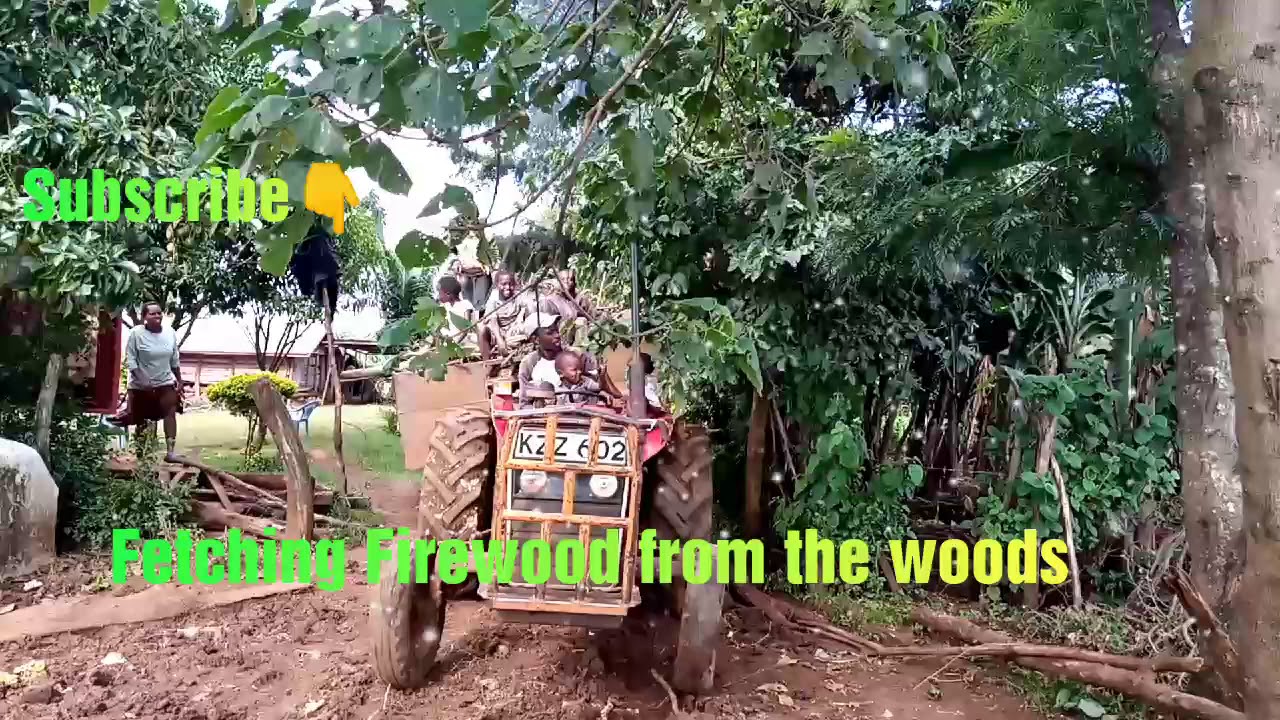 Fetching Firewood - YouTube