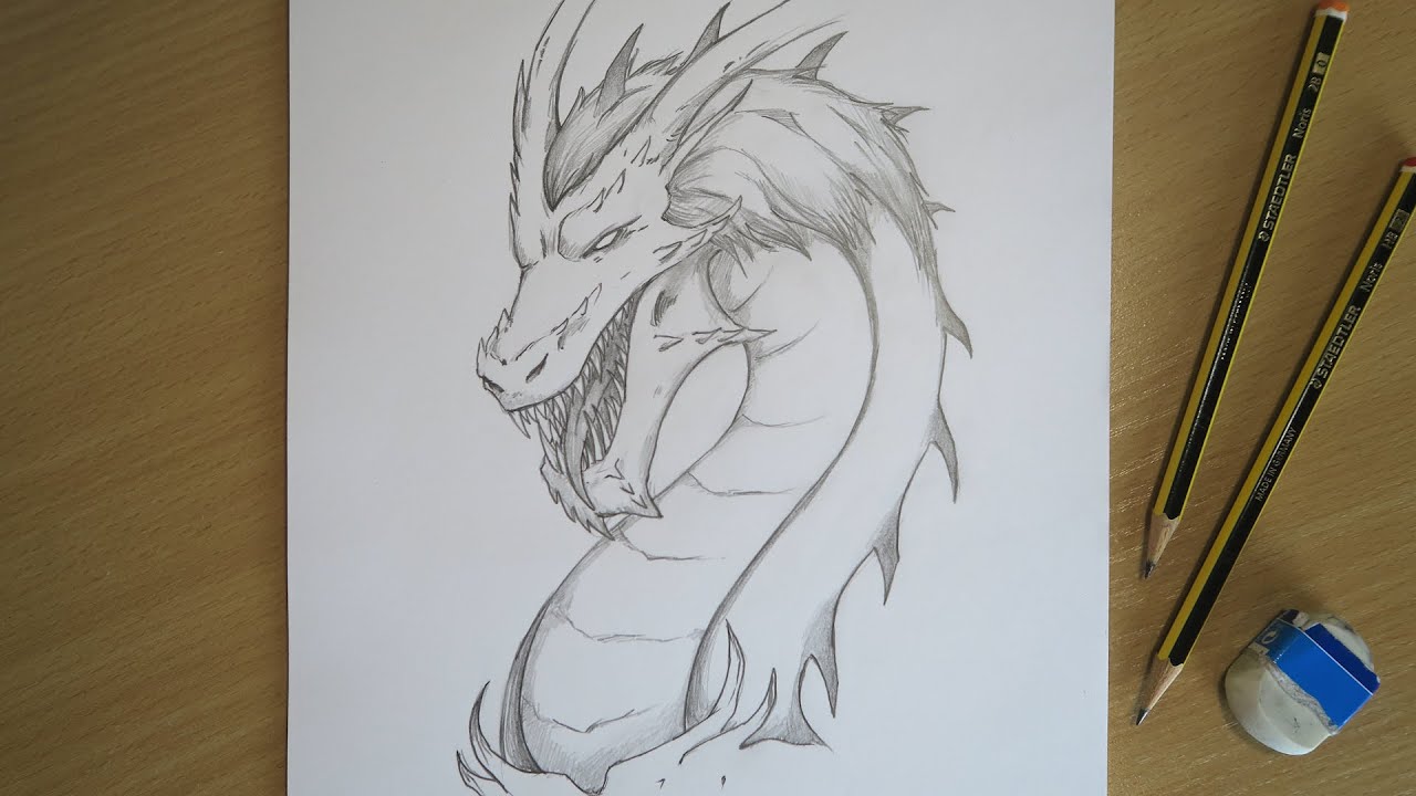 Majestic Dragon Drawing