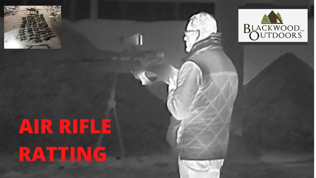 AIR RIFLE RAT SHOOTING - YouTube