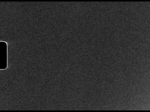 4k Grain: Kodak Vision 3 500T Super 8 Grain