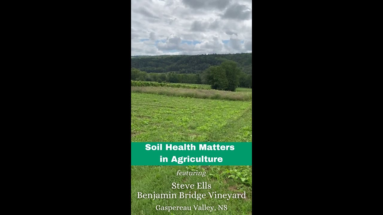 Farmers for Healthy Soil: Benjamin Bridge - YouTube