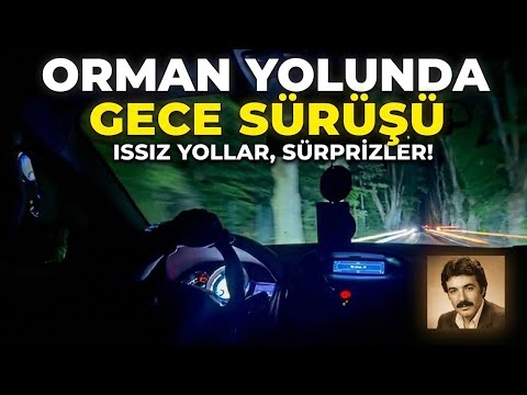 Ormanda Gece Sürüşü | Renault Fluence