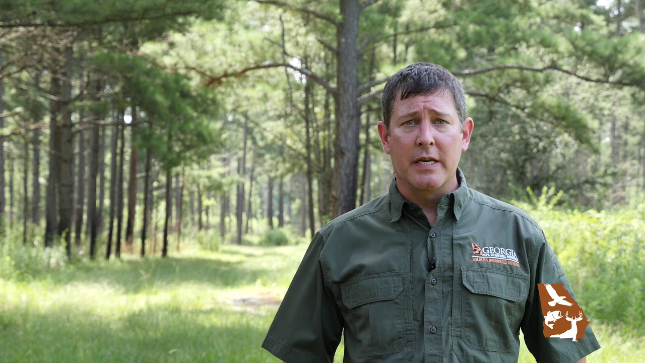 How the Landscape Impacts Your Deer Hunting - YouTube