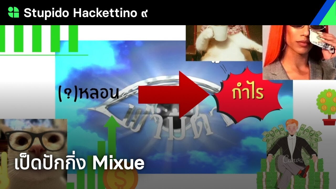 เป็ดปักกิ่ง Mixue | Stupido Hackettino ๙ - YouTube