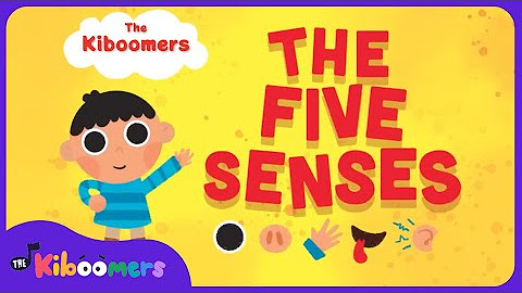 The Five Senses | The Dr. Binocs Show | Educational Videos For Kids ...