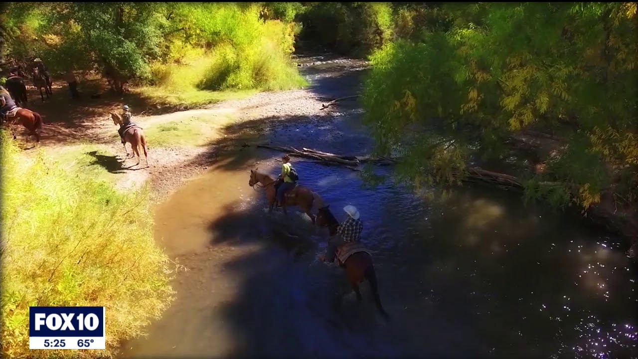 The best of FOX 10 Drone team video | #Drone Zone - YouTube